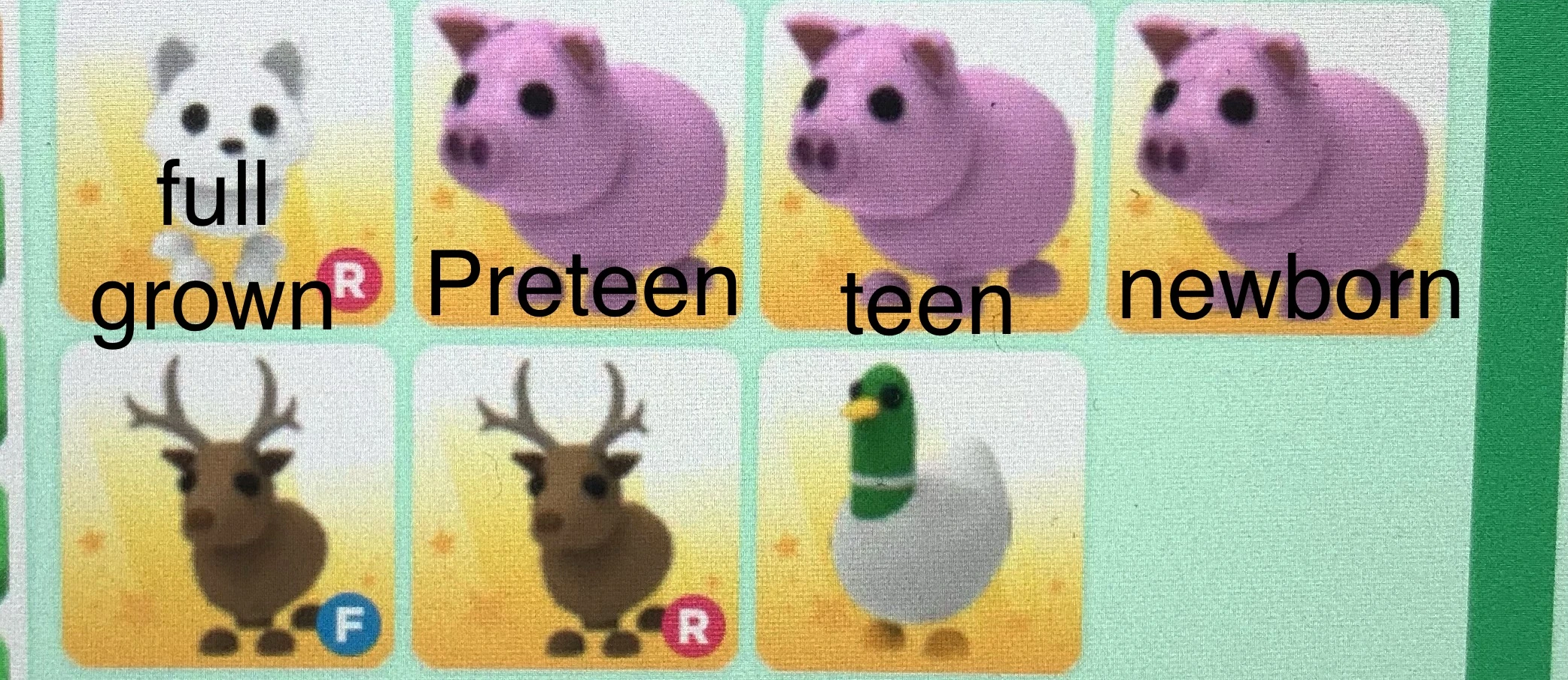 trading these together for a fair nfr pet | Fandom