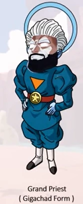 Grand Priest's secret | Fandom