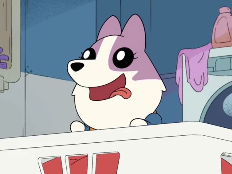 She is definitely socks from bluey | Fandom