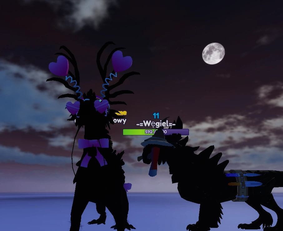 Give me picts of your dragons and short (or long) story how did you get ...