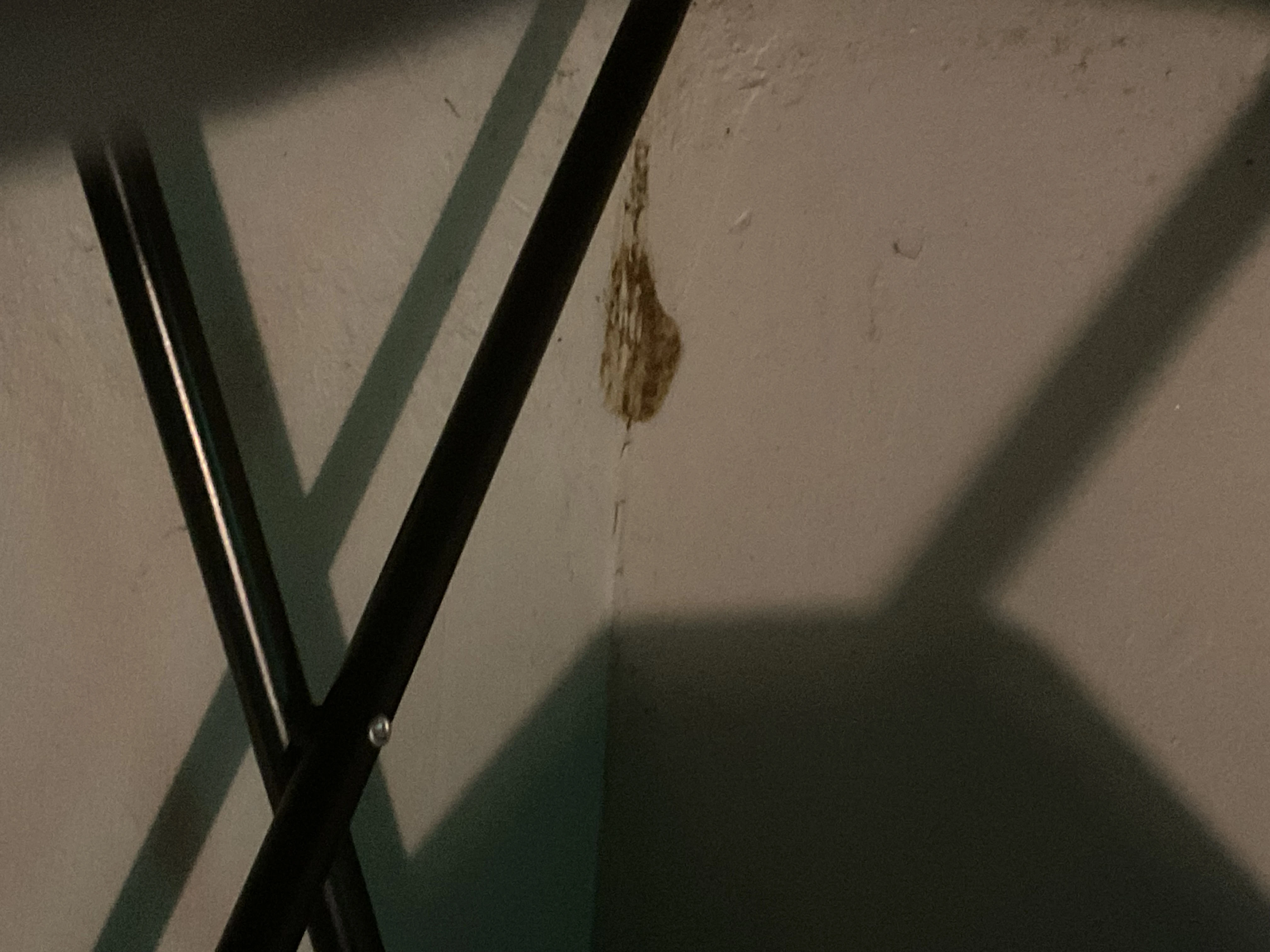 Well. I have the same problem. | Fandom