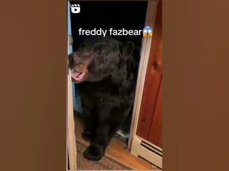 Random FNAF Meme... | Fandom