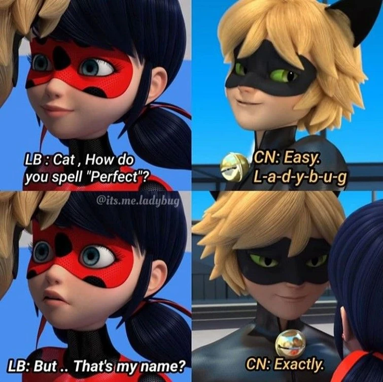 Ladynoir memes🐞🐈‍⬛ (part 1) | Fandom