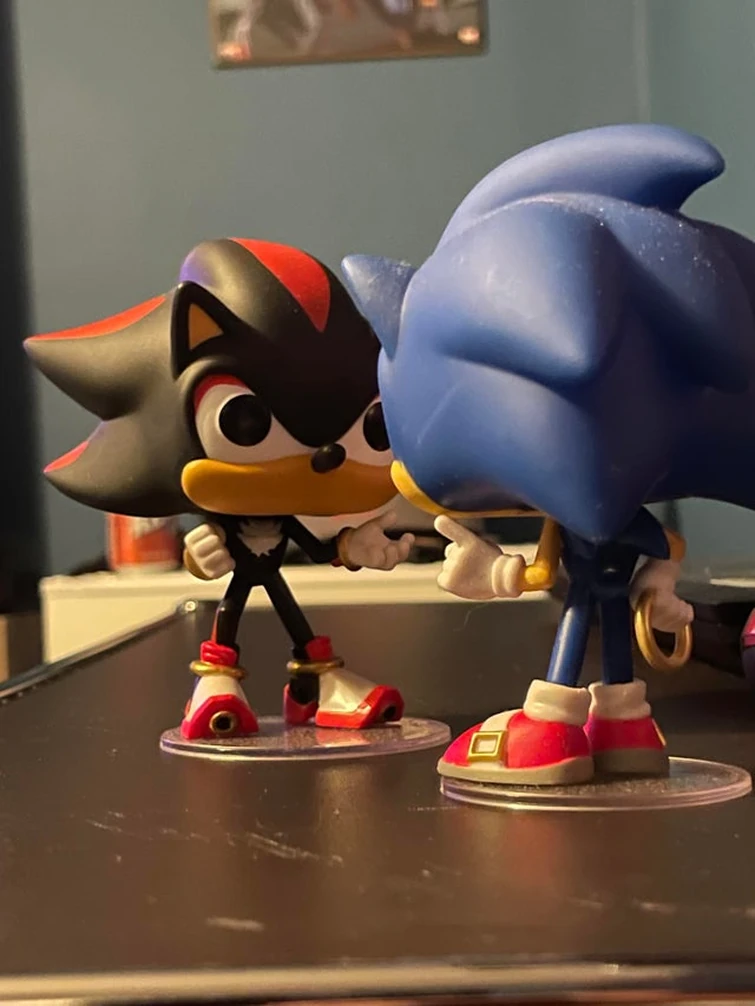 What are sonic and Shadow arguing about [wrong answers only] | Fandom