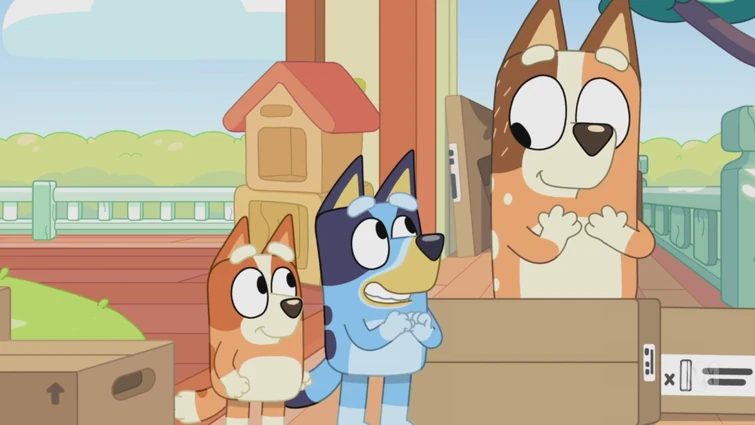 i think they should add these to the gallery of Chilli Heeler. | Fandom