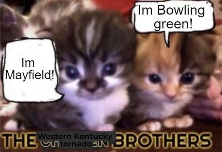 i am going to swear.... | Fandom