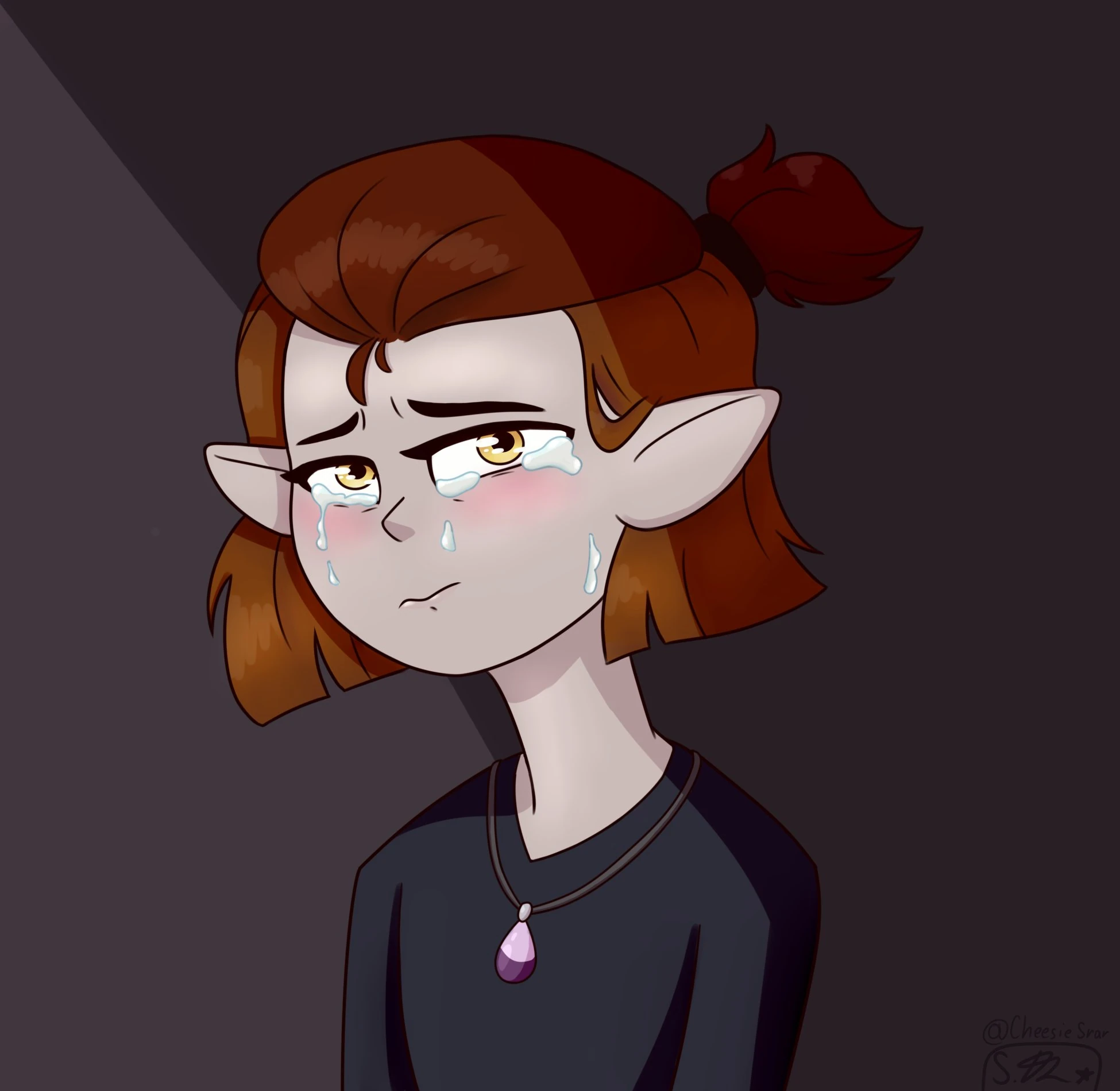 [CheesieStar] The Real Amity | Fandom