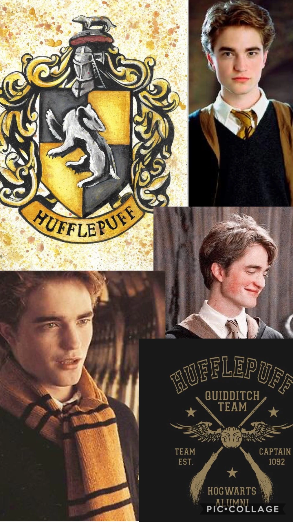 Cedric Diggory Collage | Fandom