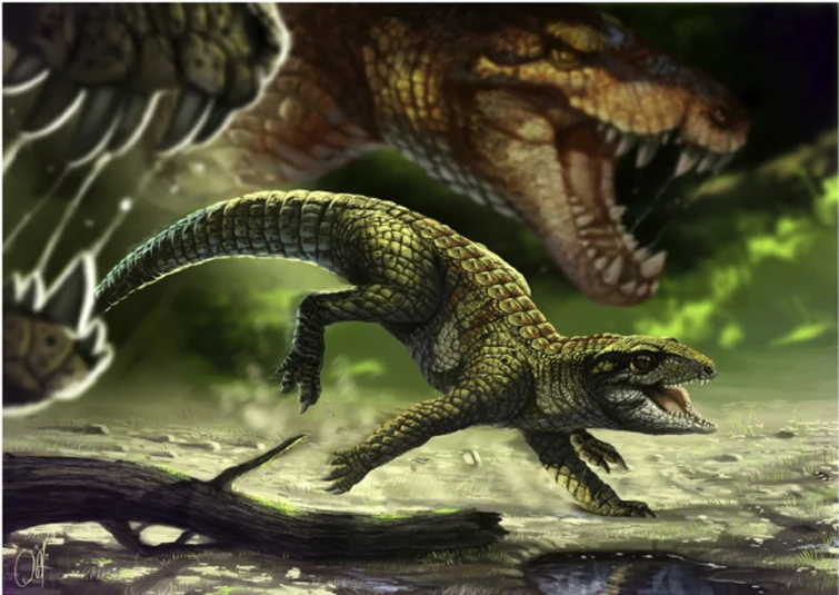 Animal that lives in the Jungle | Fandom