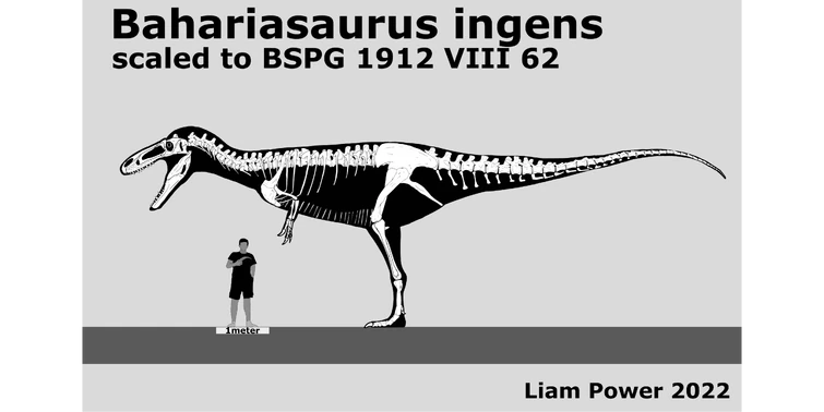 Discuss Everything About Dinopedia | Fandom