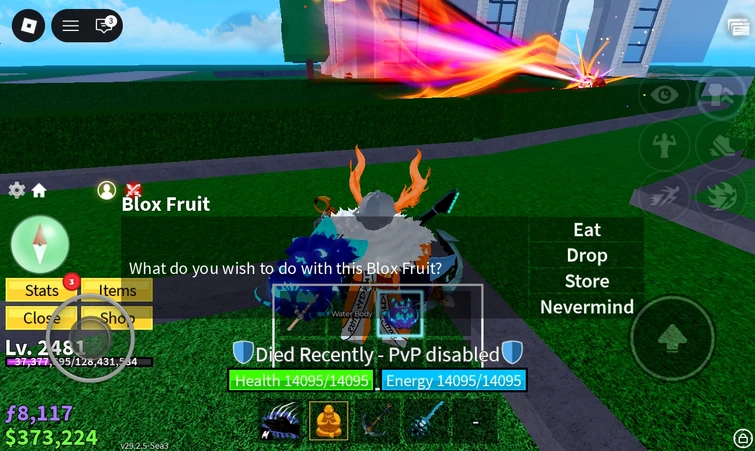 TIP: NEVER SKIP PIRATE RAIDS | Fandom