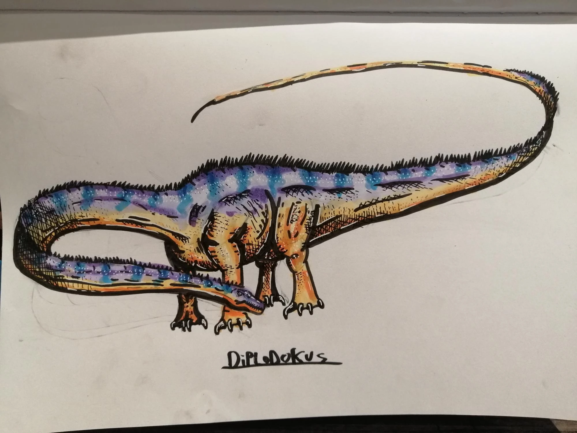 Diplodocus art! :) | Fandom