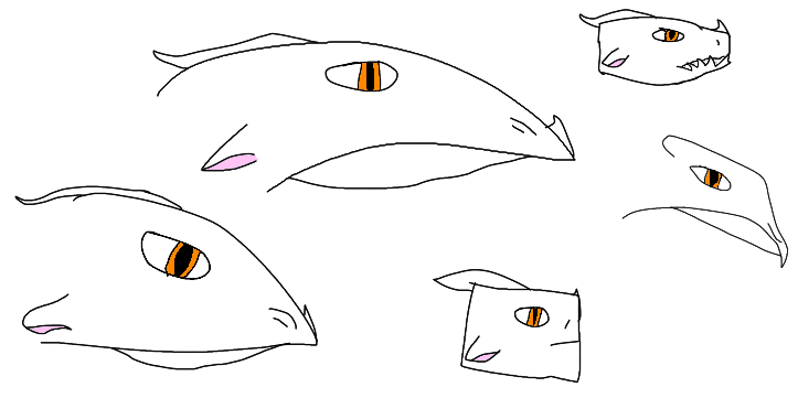 failed dragon head sketches | Fandom