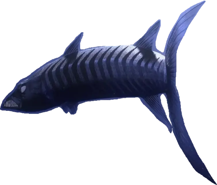 Could the Barracuda from Finding Nemo count? | Fandom