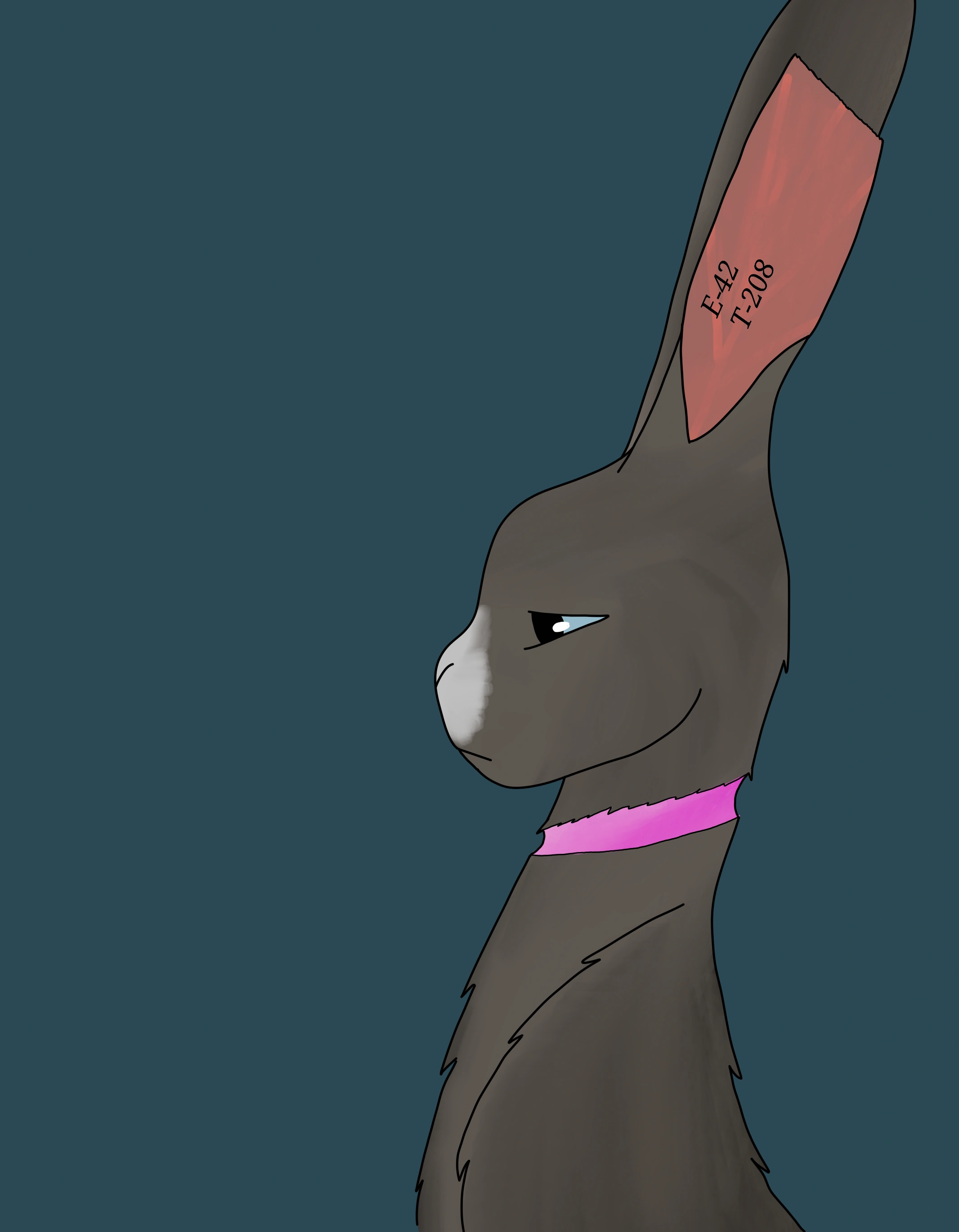 Rabbit (Scar warning) | Fandom