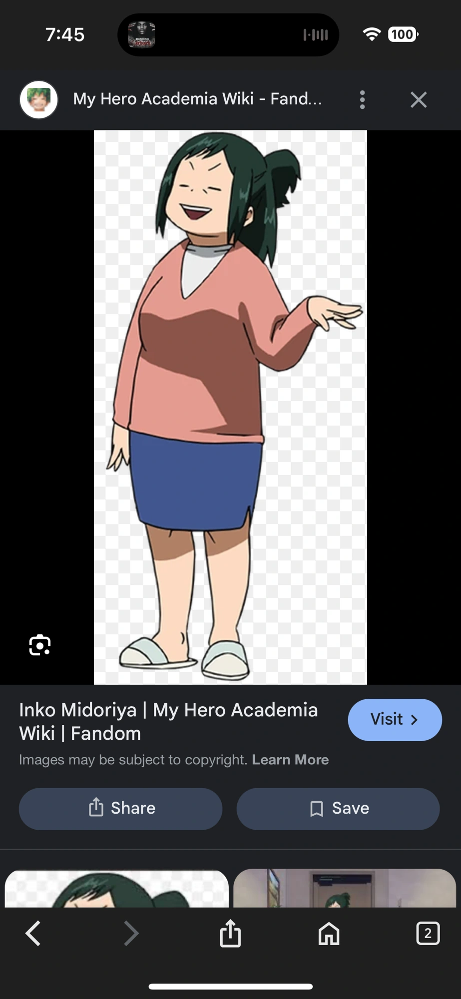 HAPPY BIRTHDAY TO.... INKO MIDORIYA | Fandom