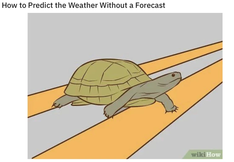 Wikihow article images scare me /pos | Fandom