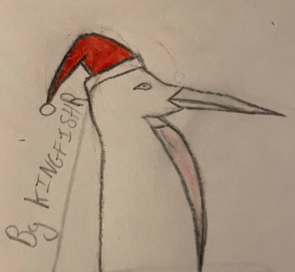 Ehm I drew a Christmas bird thingy | Fandom