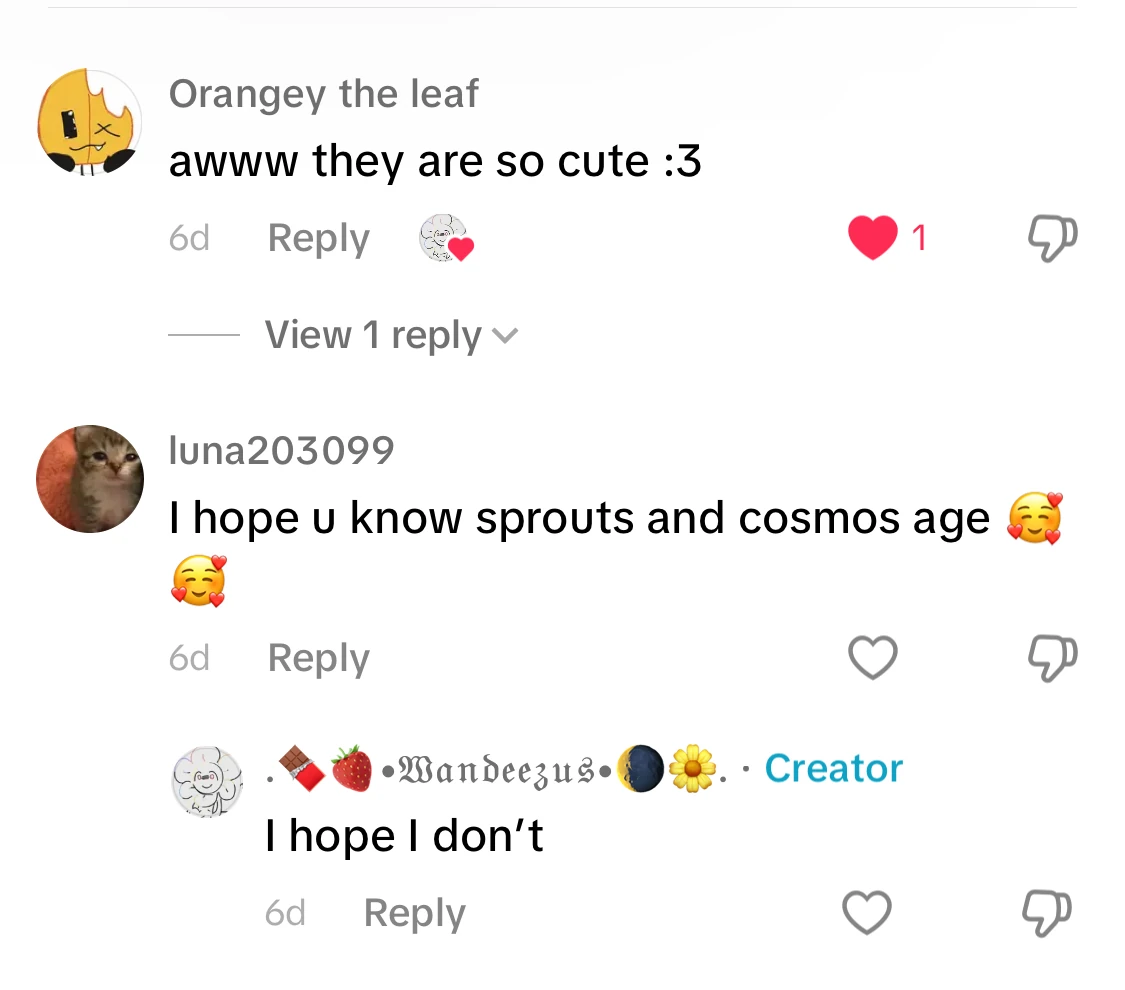 Different types of comments | Fandom