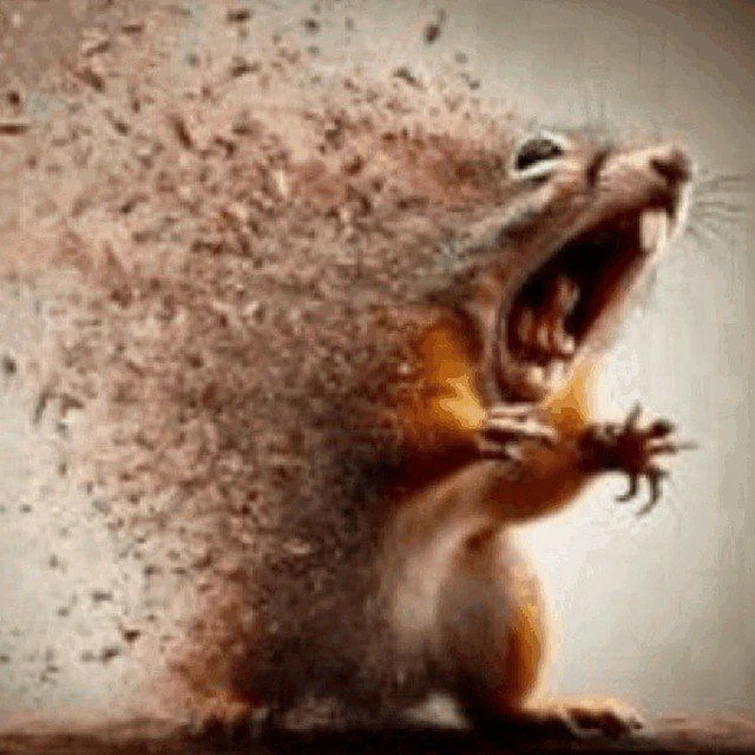 The type of shit roblox wont ban people for | Fandom