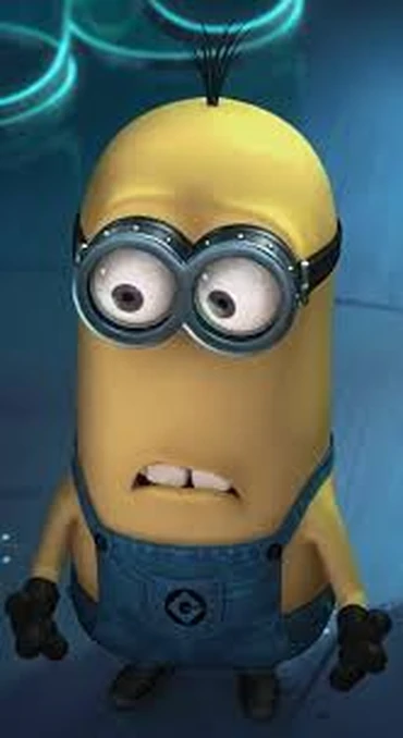 Which minion is better? | Fandom