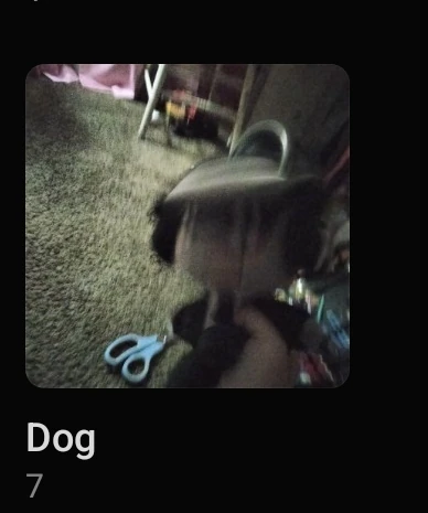 Look at my dog | Fandom