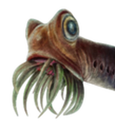 Discuss Everything About Dinopedia | Fandom