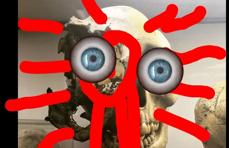 Phase 35 Remake | Fandom