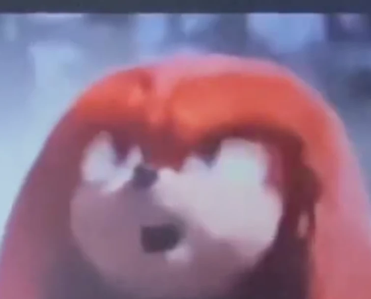 What is Knuckles looking at? (Wrong Answers Only) | Fandom