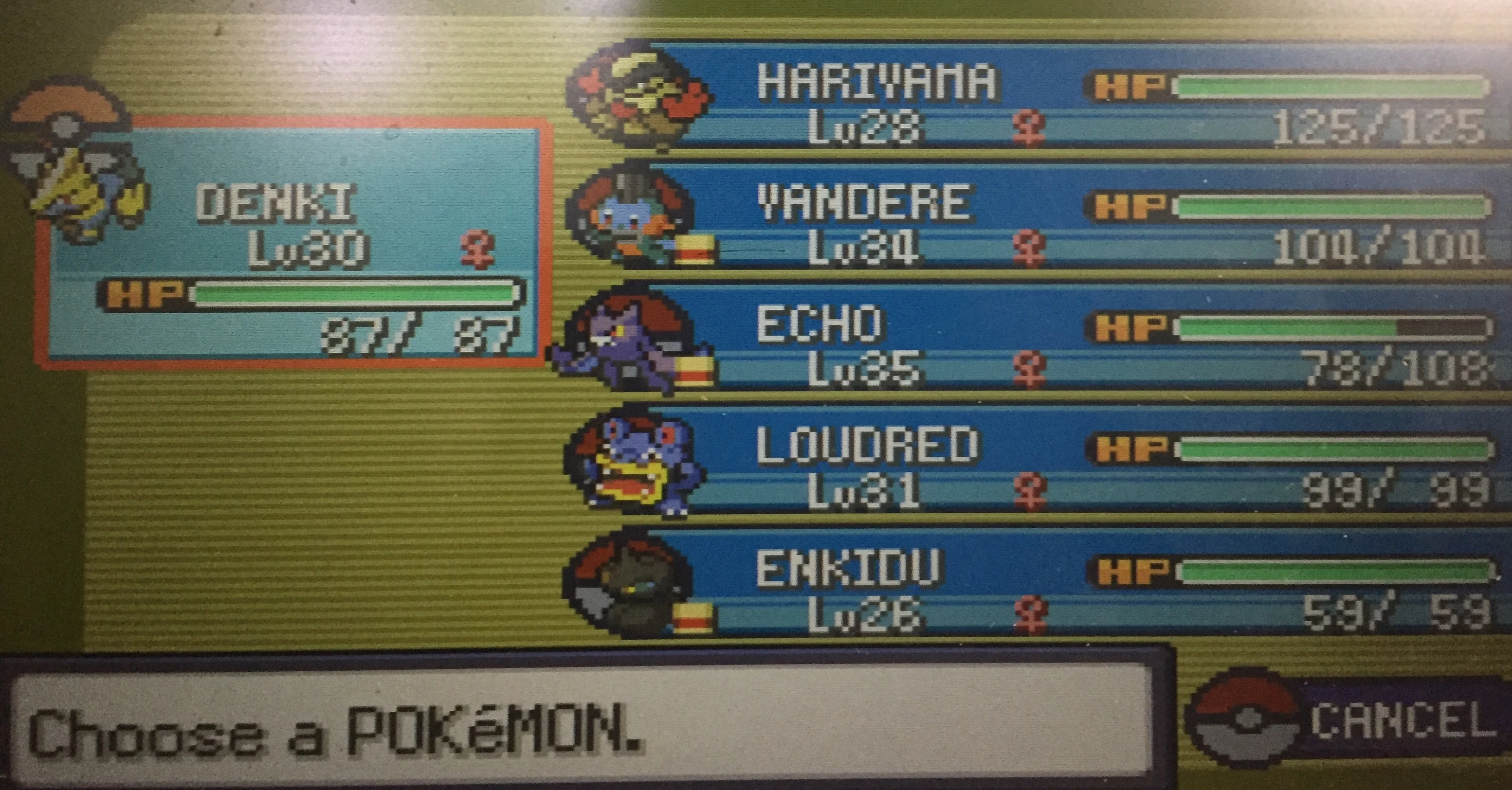 This is my team for pokemon emerald | Fandom