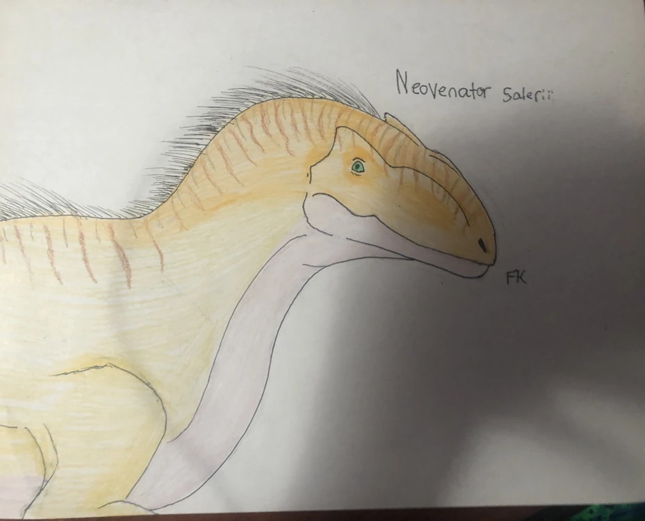 Neovenator | Fandom