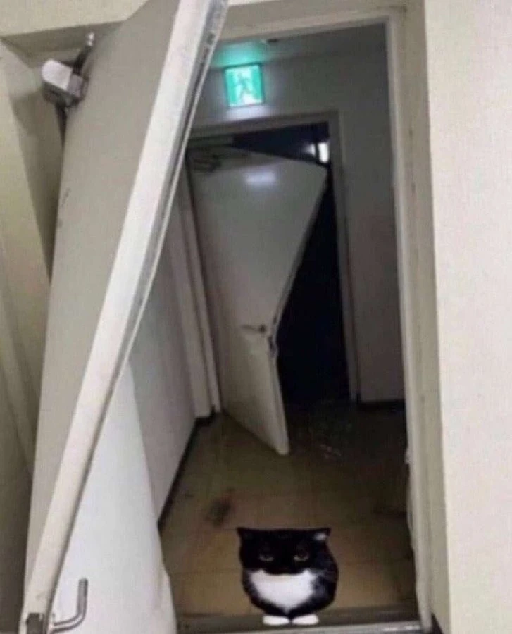 The RLD community hub | Fandom