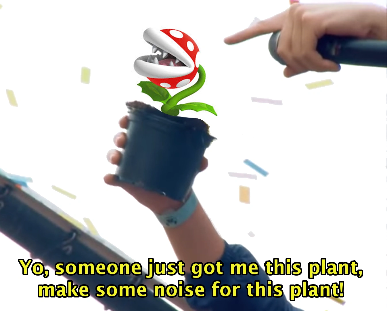 Piranha Plant Memes because why the hell not? | Fandom