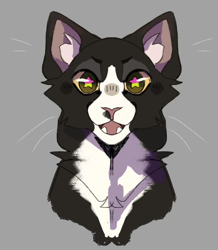 Quick kitty done | Fandom