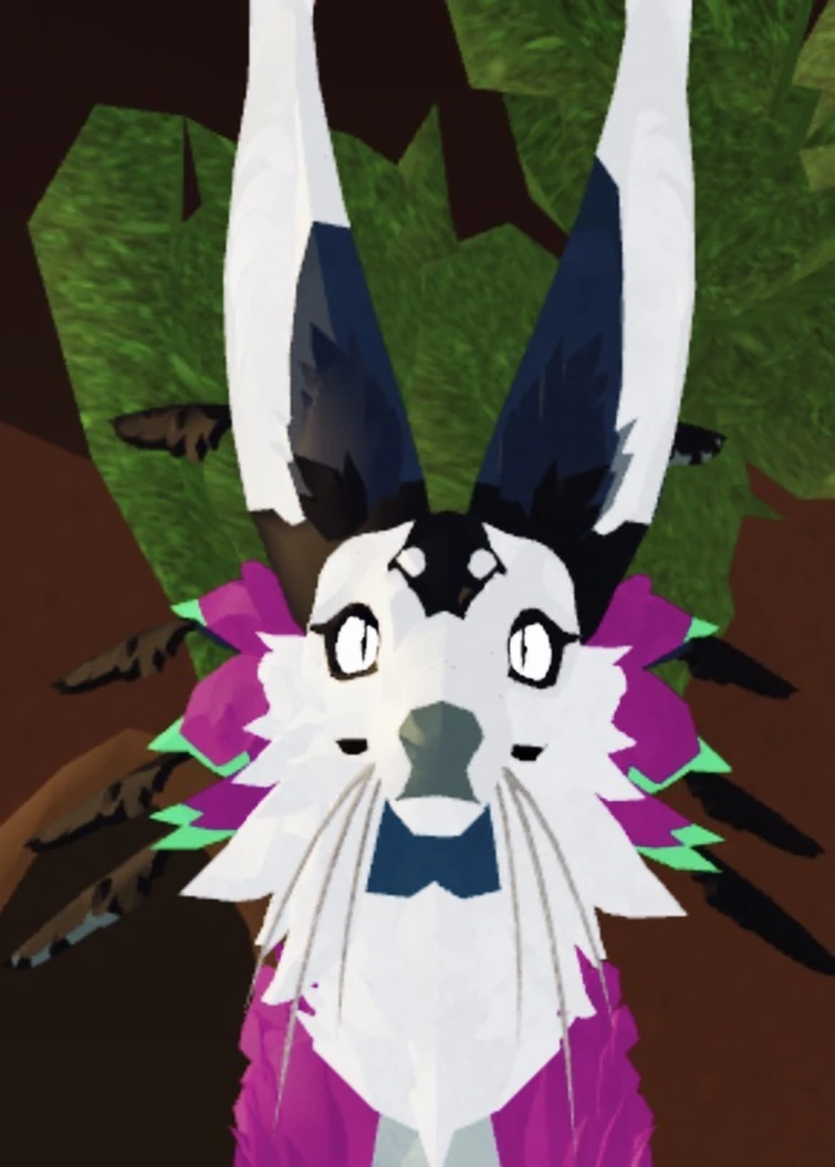 I hate the existence of appearance tokens | Fandom