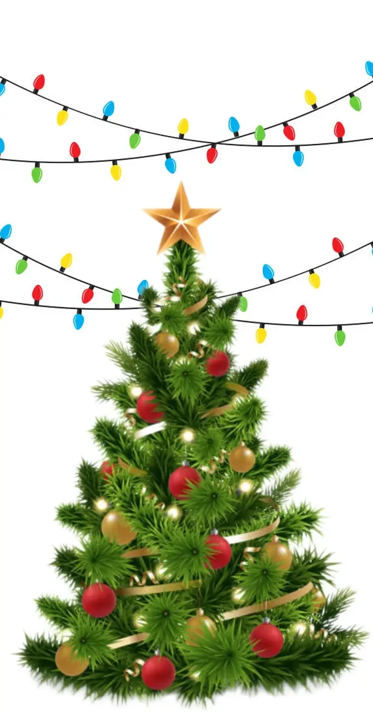 IT'S DECEMBER 1ST :DDDDD | Fandom