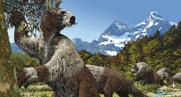 What should the Megatherium be patterned like in the dinopedia ...