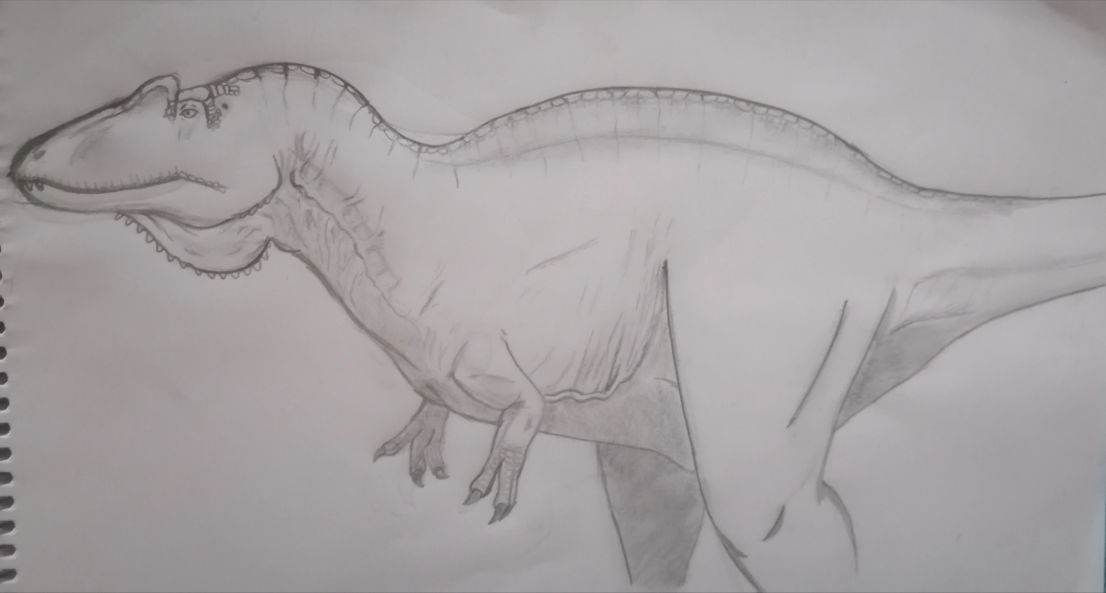 Dibujo de Acrocanthosaurus. | Fandom