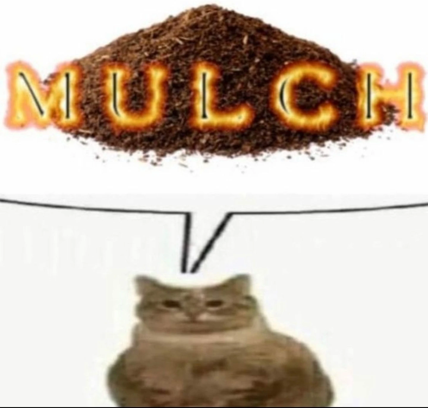 *posts smth* | Fandom