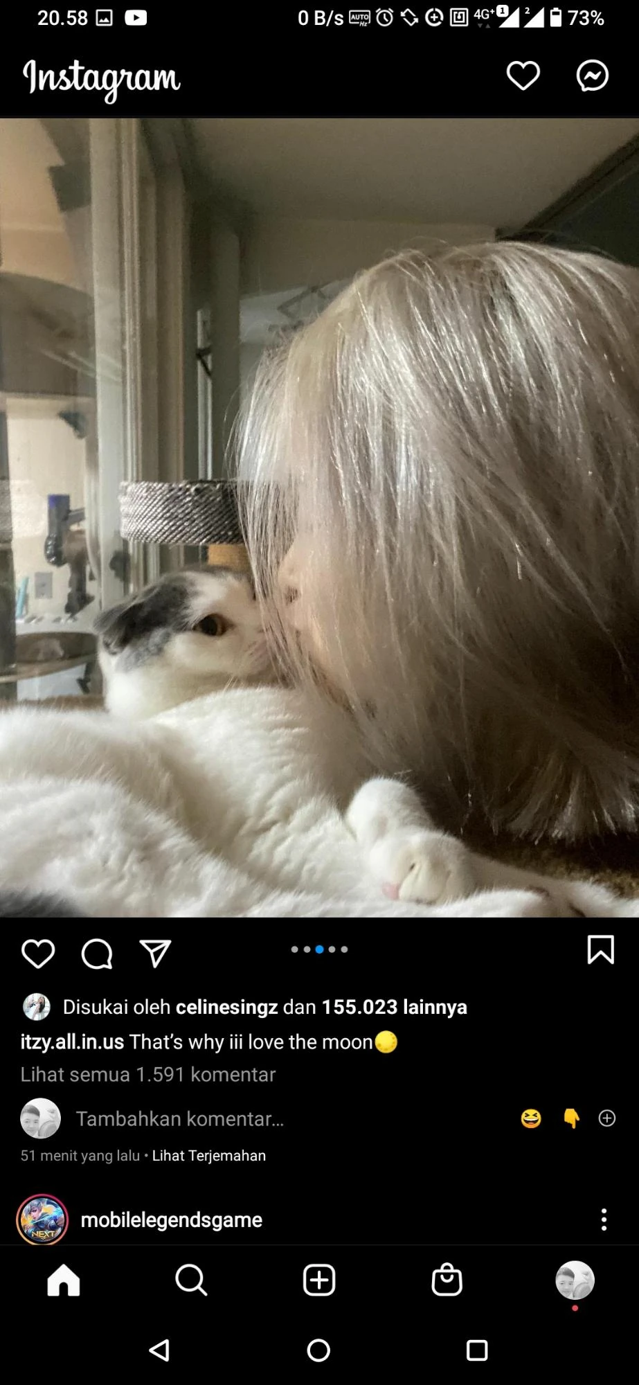 Ryu's cat is so cute!!! | Fandom