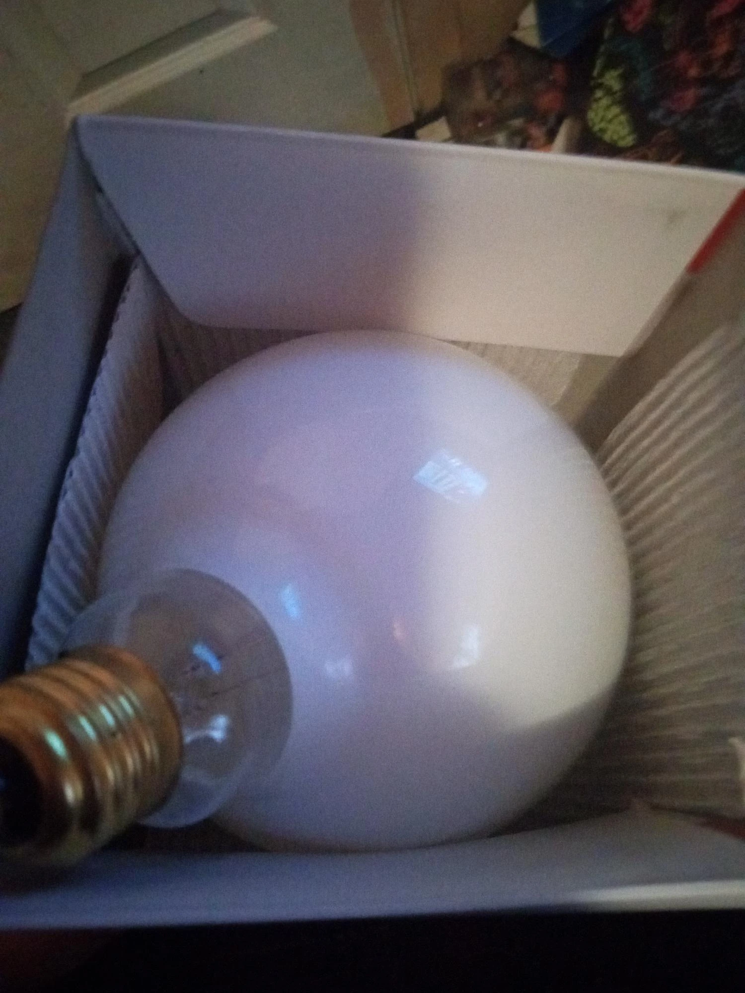 Rate my light bulb collection | Fandom