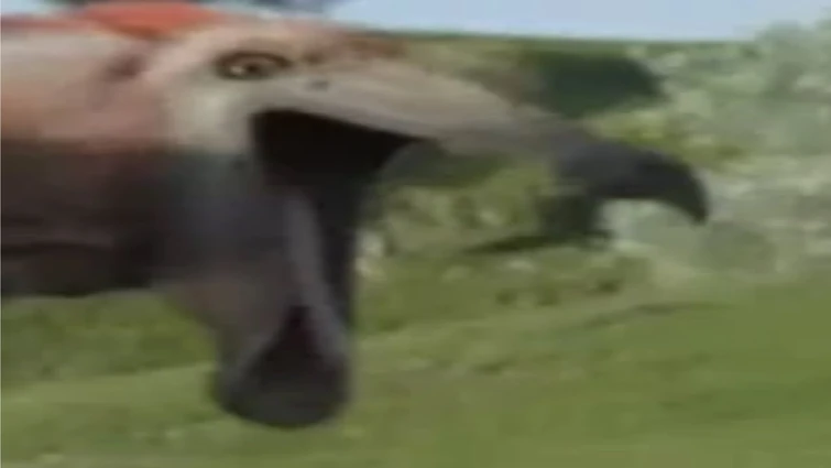 Best Paleo meme video? | Fandom