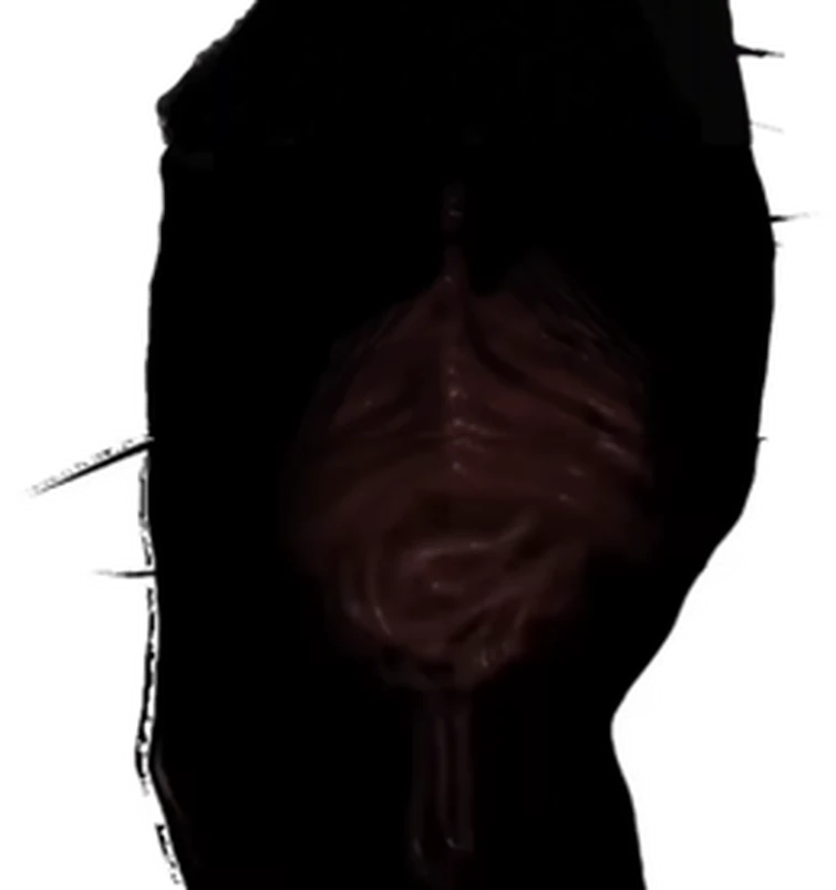 boiled one rig | Fandom
