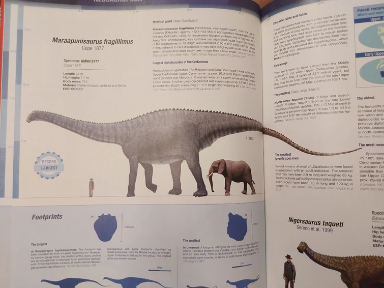 My personal 10 favorite dinosaurs | Fandom