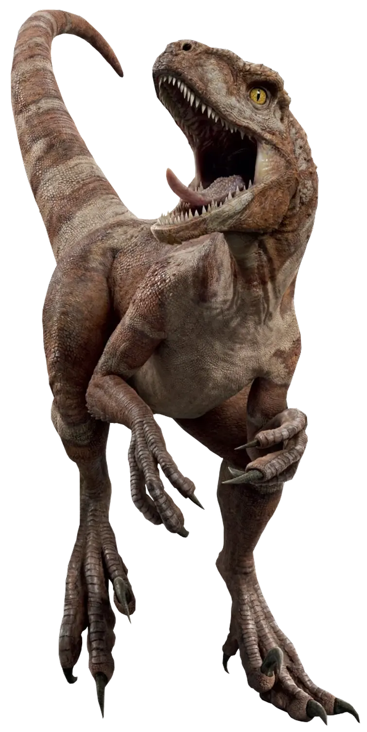 Red in Chaos Theory | Fandom