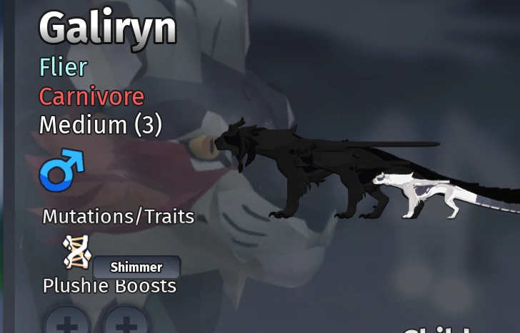 shimmer gali worth? | Fandom