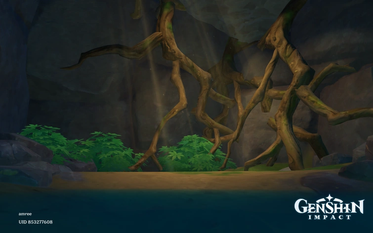 Cave photos | Fandom