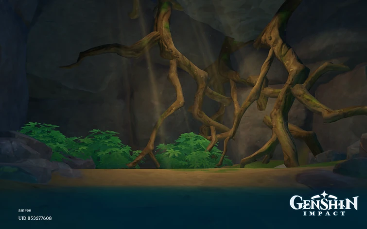 Cave photos | Fandom