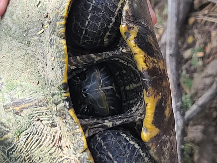 *clears throat* | Fandom