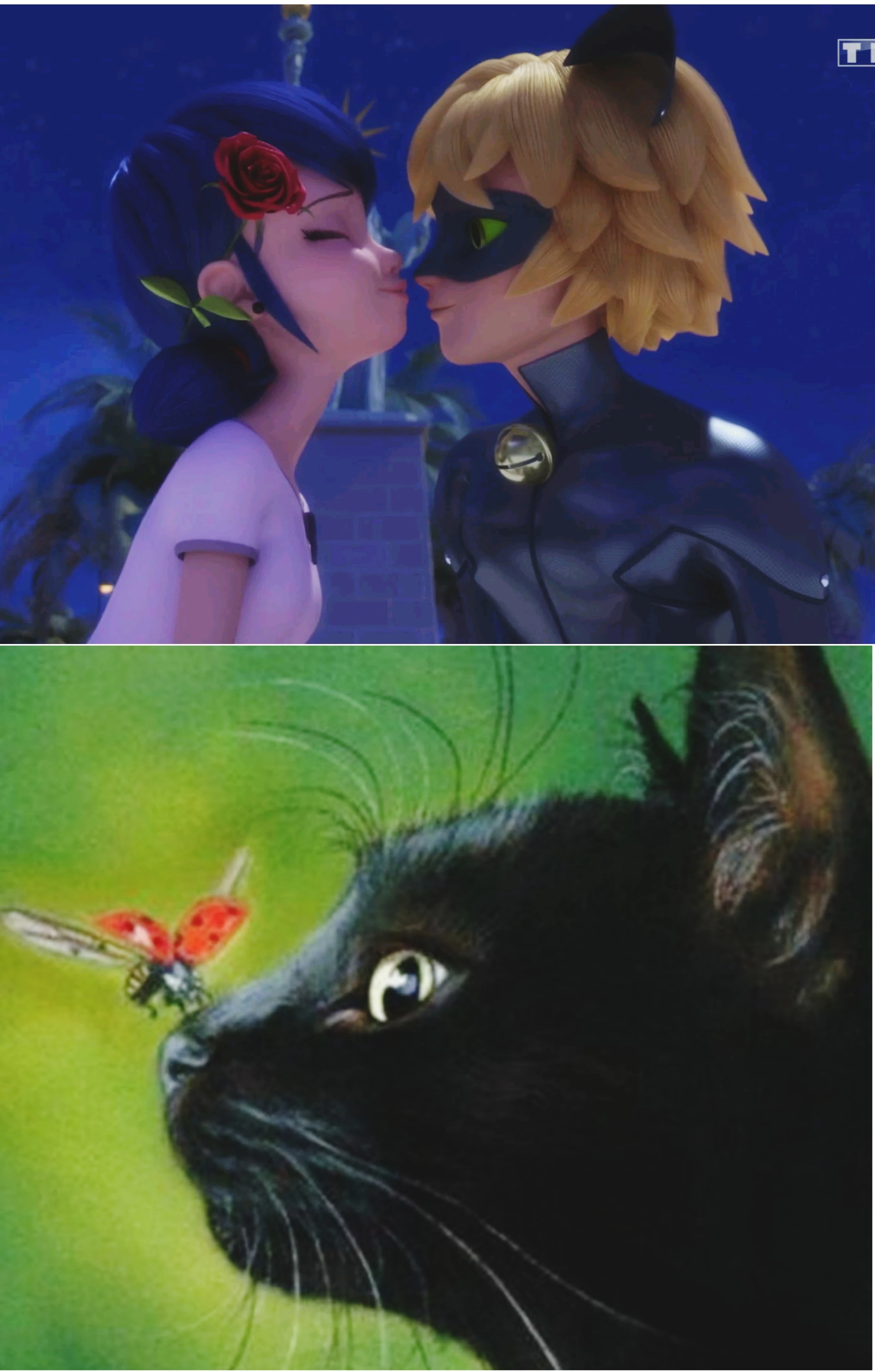 find 10 differences | Fandom